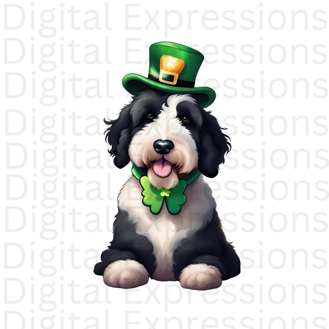 Set of 2 St. Patrick's Day Sheepadoodle PNG Sheepadoodle Graphic Dog ...
