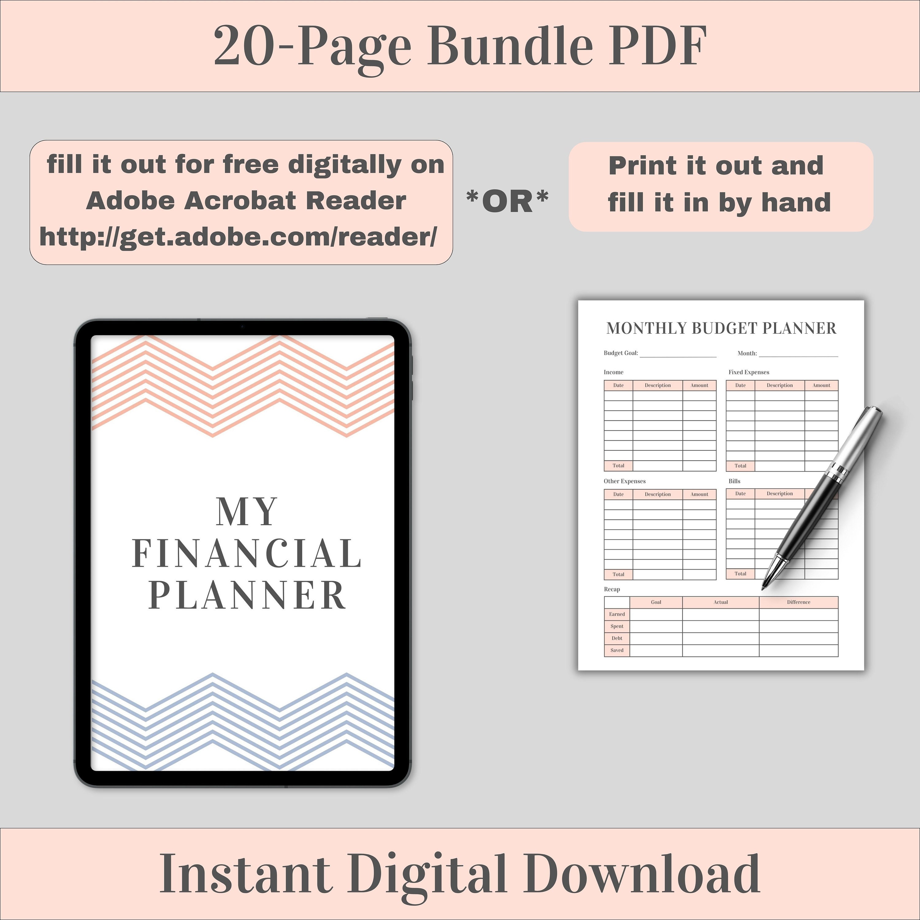 Financial Budget Organizer Worksheet Financial Budget Organizing Spread ...