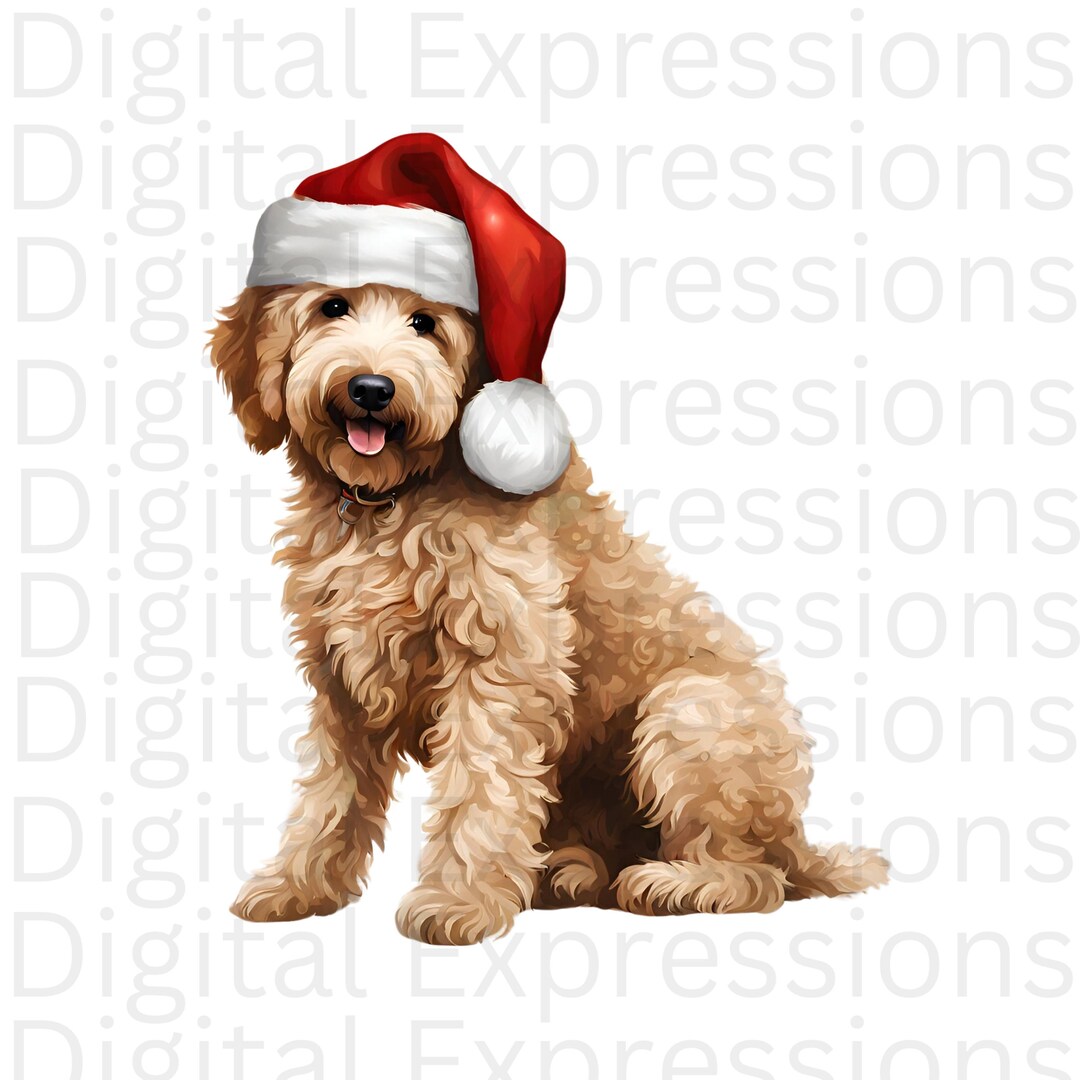 Christmas Goldendoodle PNG Goldendoodle Graphic Dog Design Animal ...