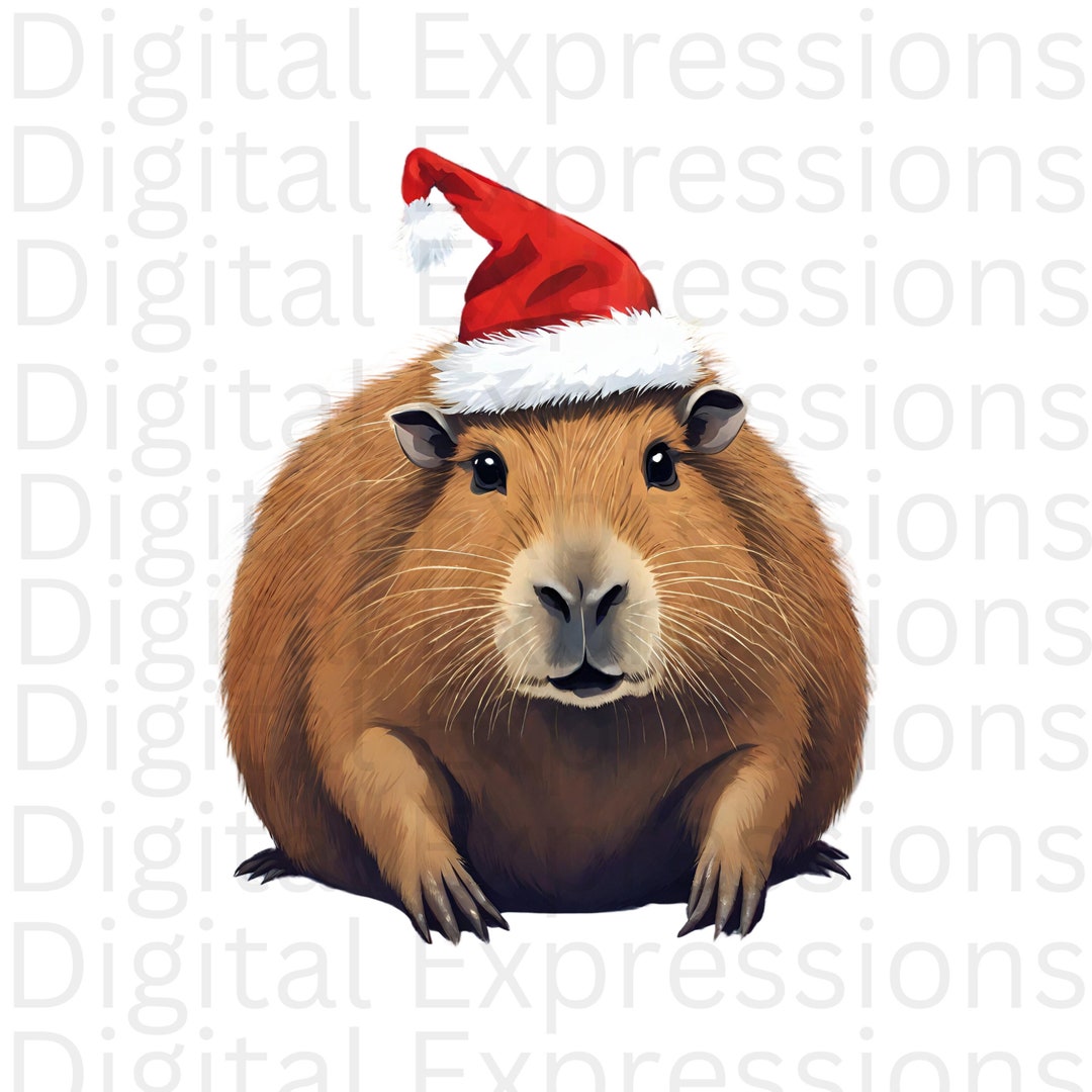 Christmas Capybara PNG Capybara Graphic Capybara Design Animal Clipart ...