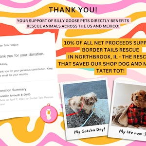 Witchy Pet ID Tag, Custom Personalized Dog or Cat Tags, Mystical Gothic ...