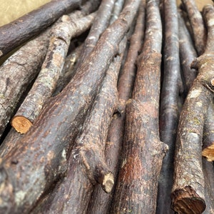 Choose From 5 Types of Florida Forest Sticks - Etsy