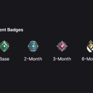 Valorant Ranked Icons Full Pack Sub/bit Badges for Kick/twitch - Etsy