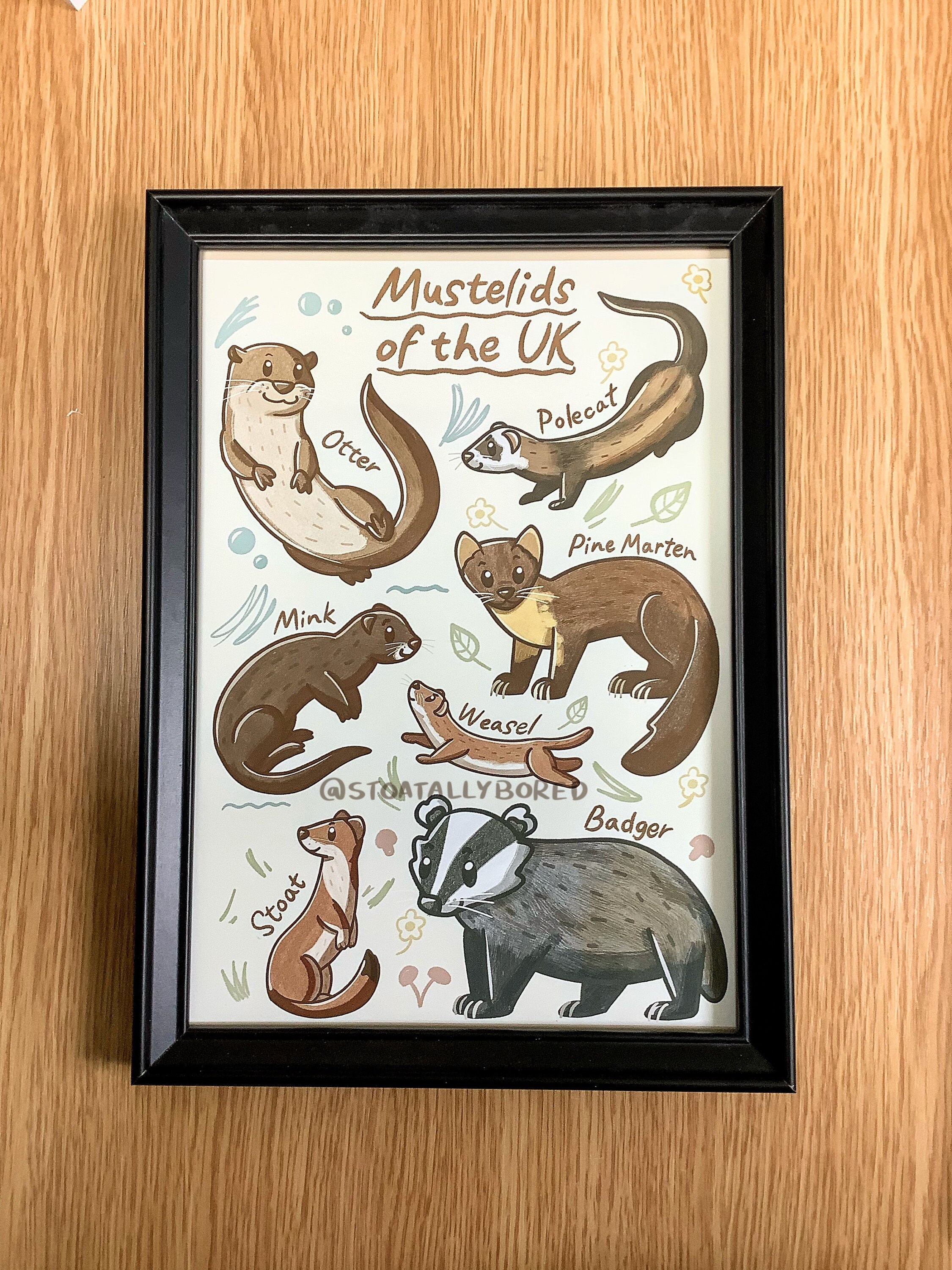 UK Mustelids A4/A5 Poster Art Print RESTOCKED - Etsy
