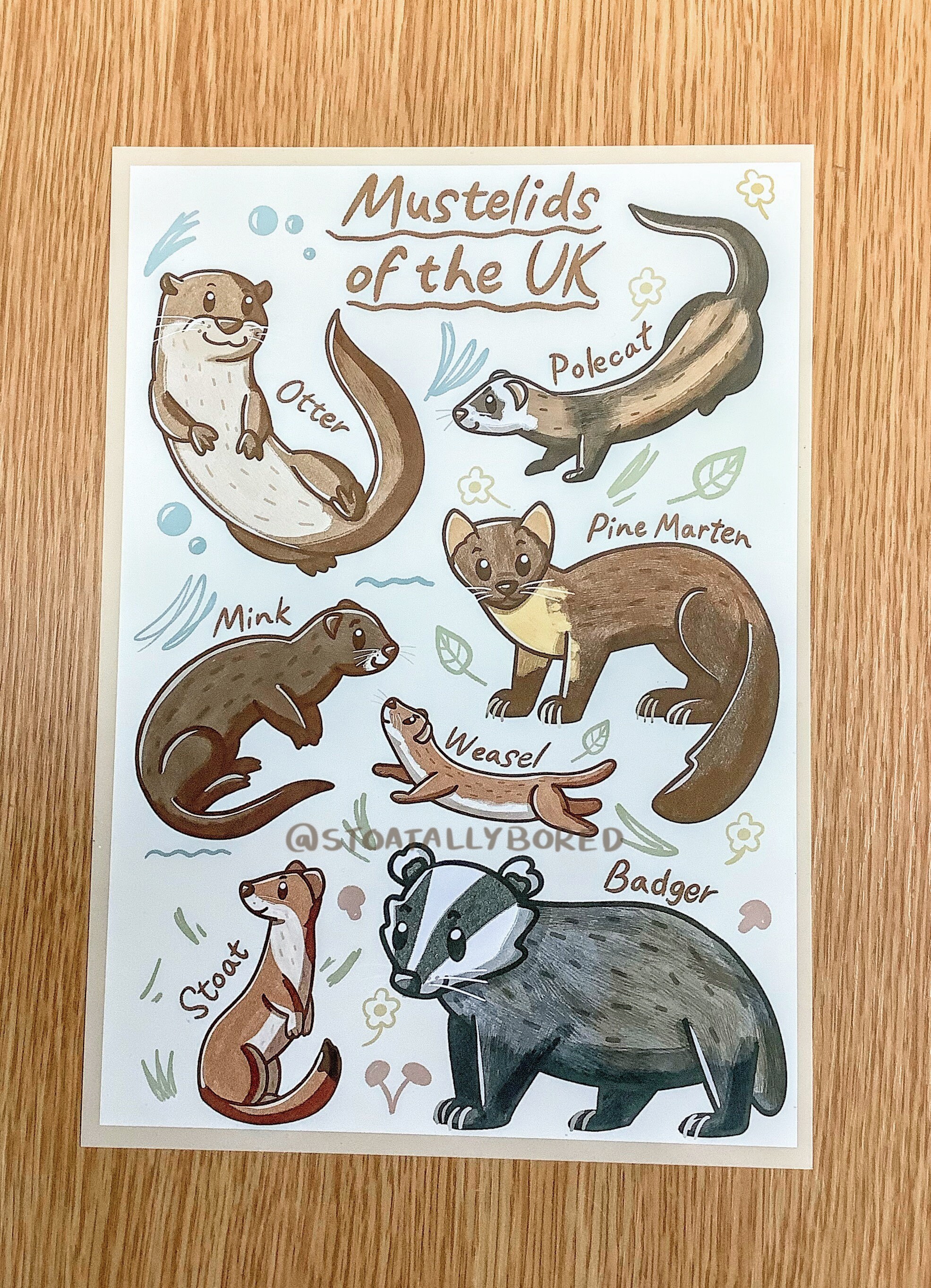 UK Mustelids - A4/A5 Poster Art Print - Etsy