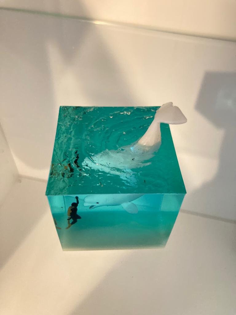 Beluga Whale in Resin Cube Resin Decor Paperweight Water - Etsy
