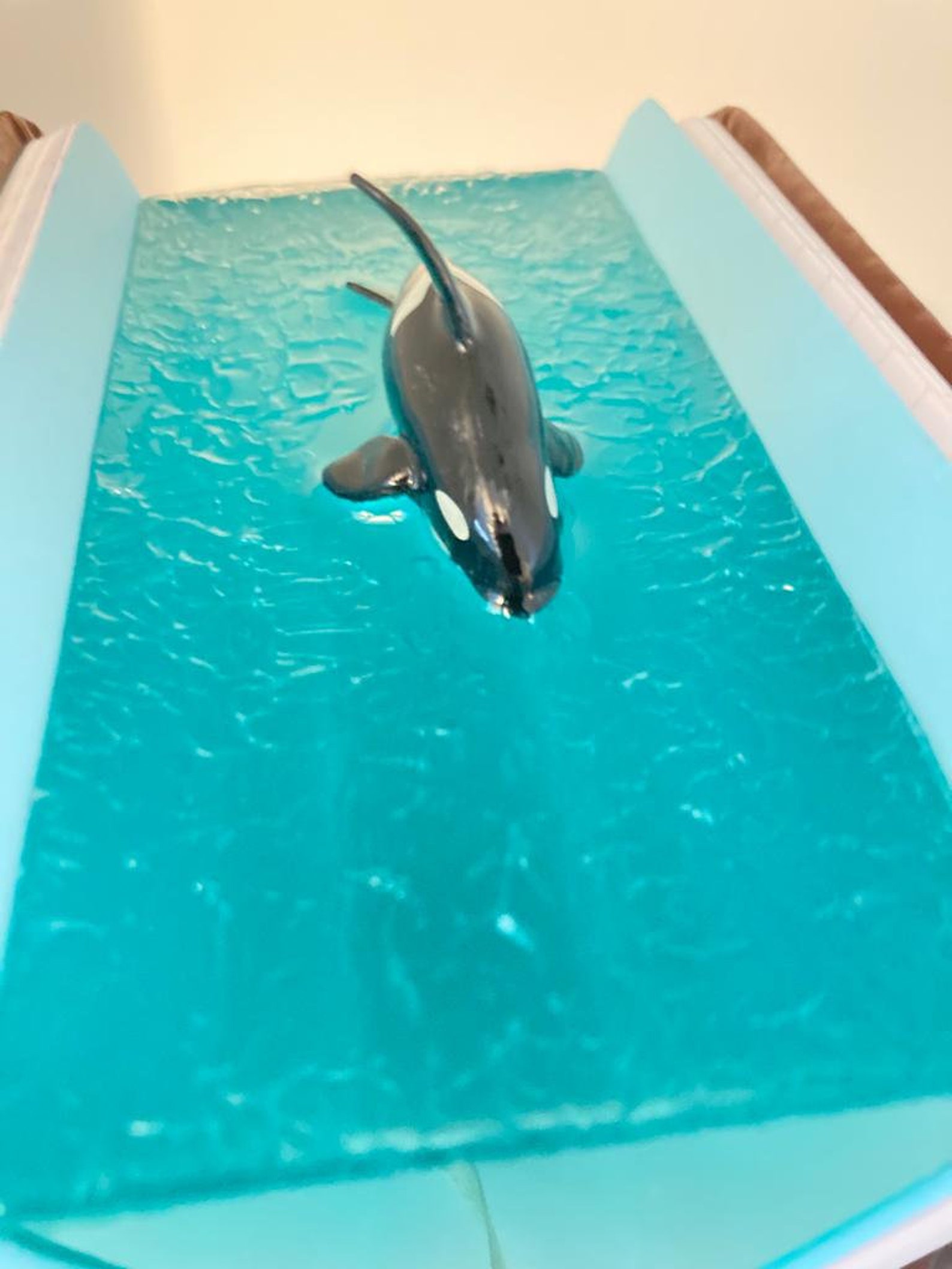 Orca in the Book, Paperweight, Water Resin Diorama, Ocean Diorama ...