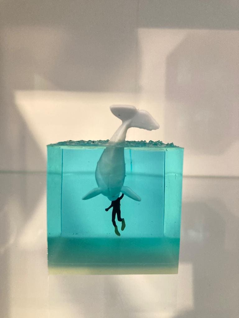 Beluga Whale in Resin Cube Resin Decor Paperweight Water - Etsy
