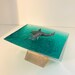 Delphine Resin Cube Paperweight Water Resin Diorama Ocean - Etsy