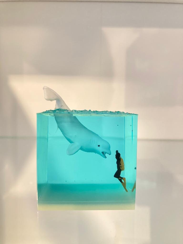 Beluga Whale in Resin Cube Resin Decor Paperweight Water - Etsy
