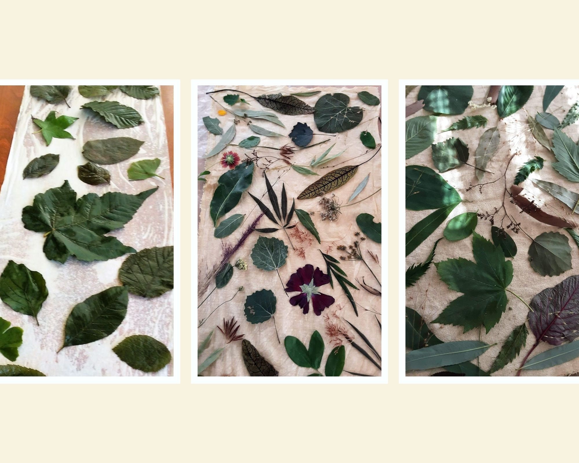 Ecoprinted Paper Botanical Designs Greeting Cards Eco-friendly Gifts ...