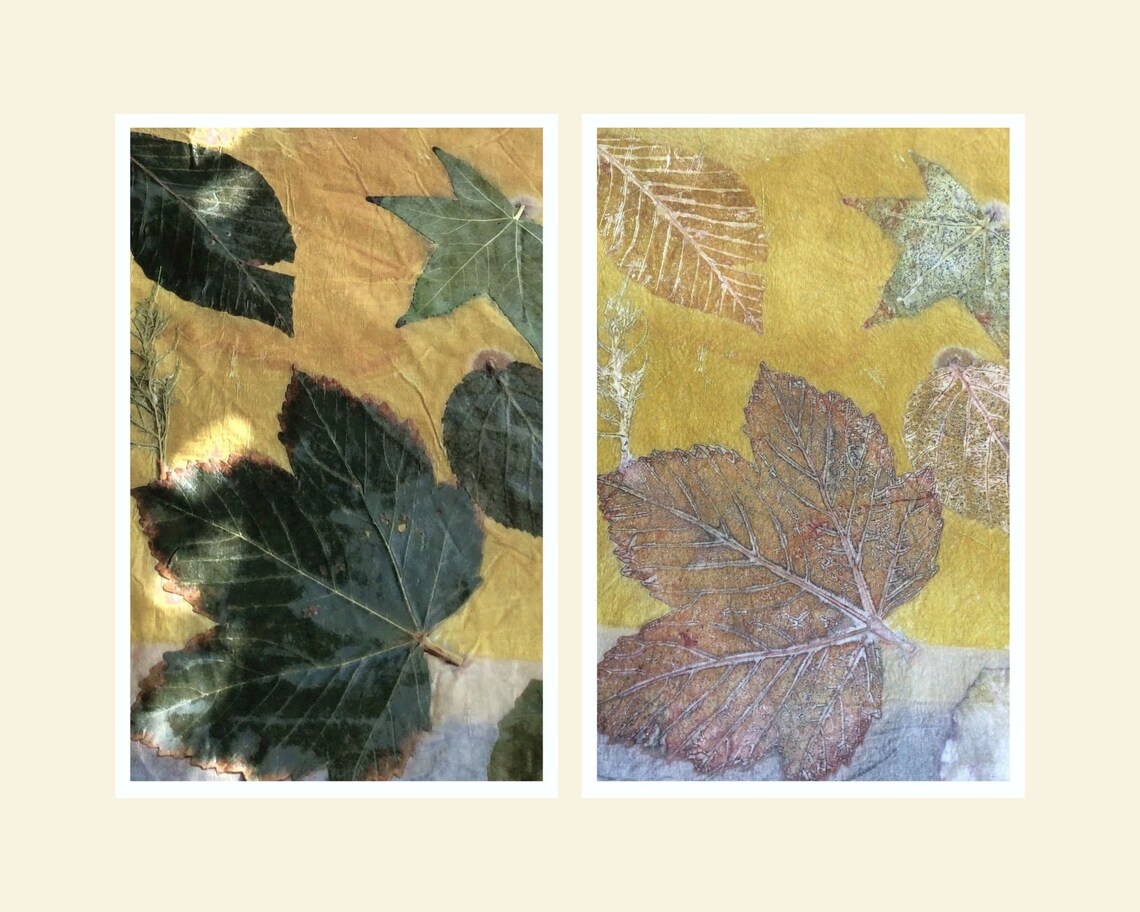 Ecoprinted Paper Botanical Designs Greeting Cards Eco-friendly Gifts ...