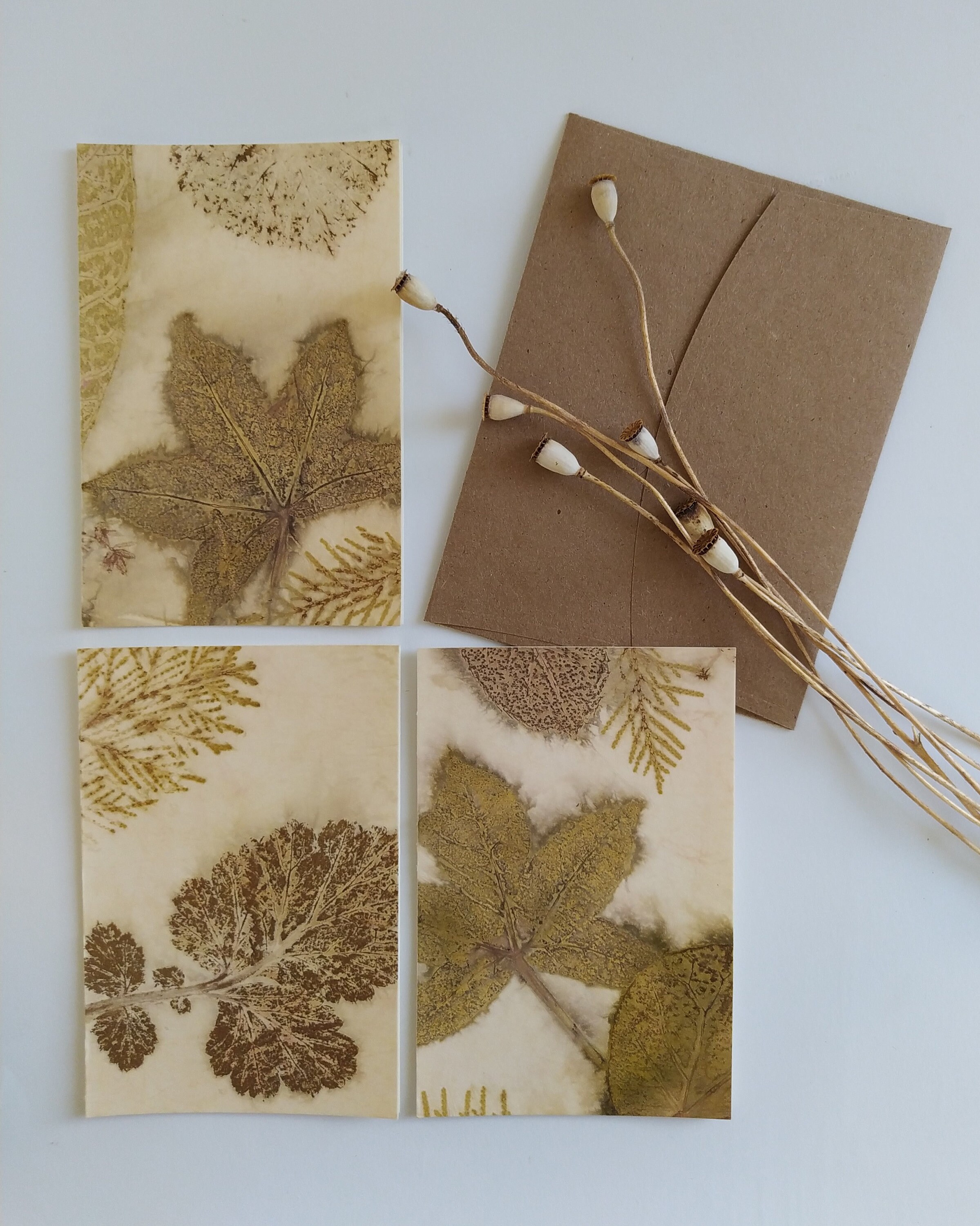 Ecoprinted Paper Botanical Designs Greeting Cards Eco-friendly Gifts ...