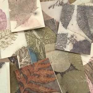 Ecoprinted Paper Botanical Designs Greeting Cards Eco-friendly Gifts ...