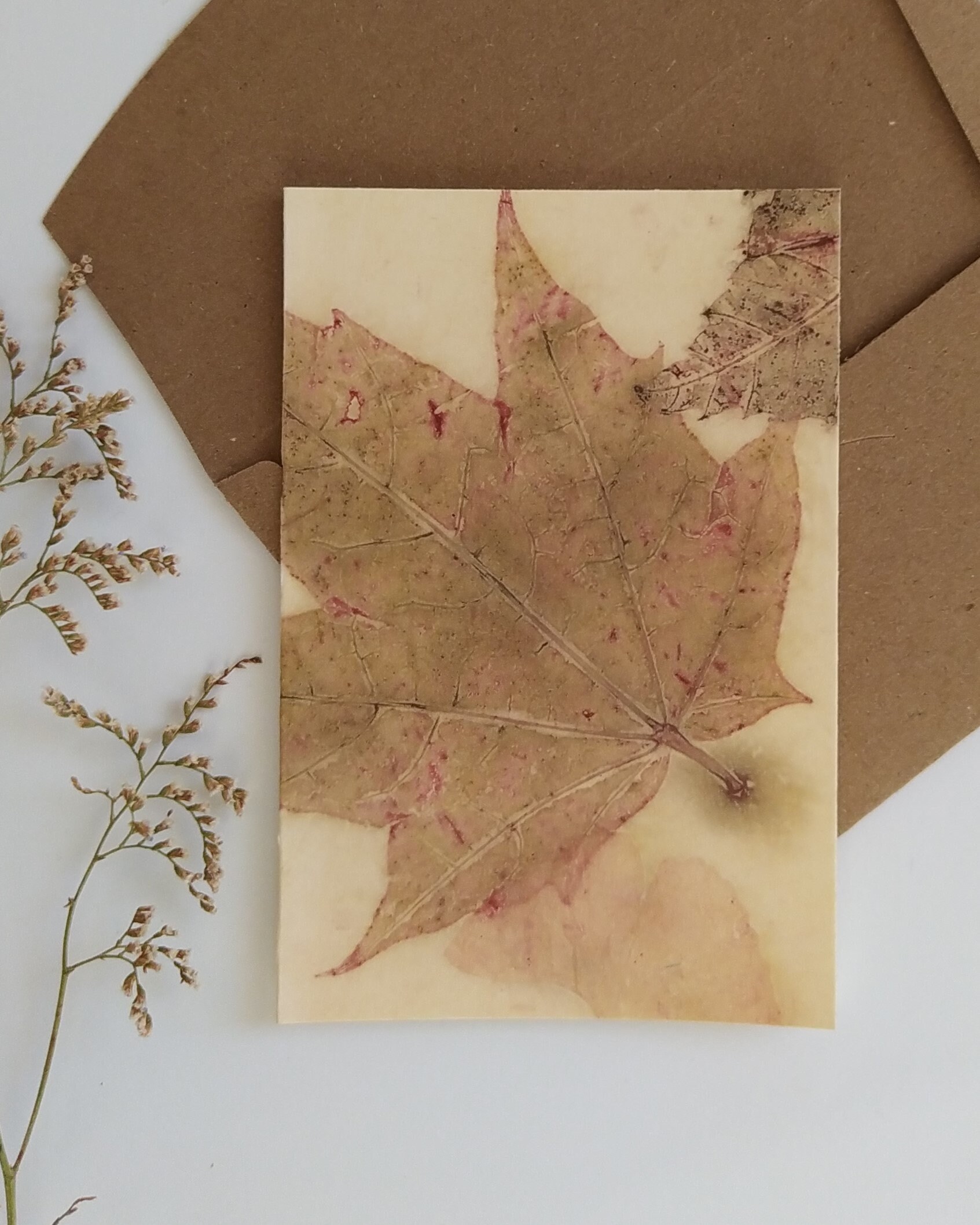 Ecoprinted Paper Botanical Designs Greeting Cards Eco Gifting Handmade ...