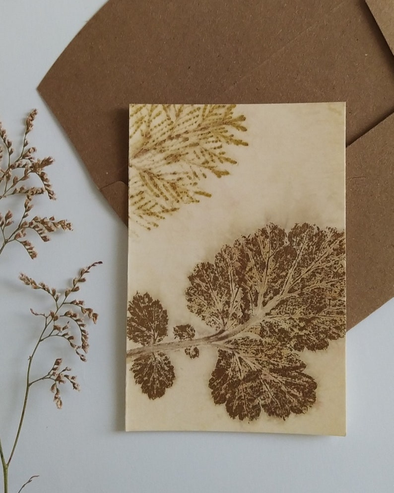 Ecoprinted Paper Botanical Designs Greeting Cards Eco-friendly Gifts ...