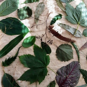Nature-inspired Ecoprinted Cotton Cushion Covers, Set of 2 - Etsy