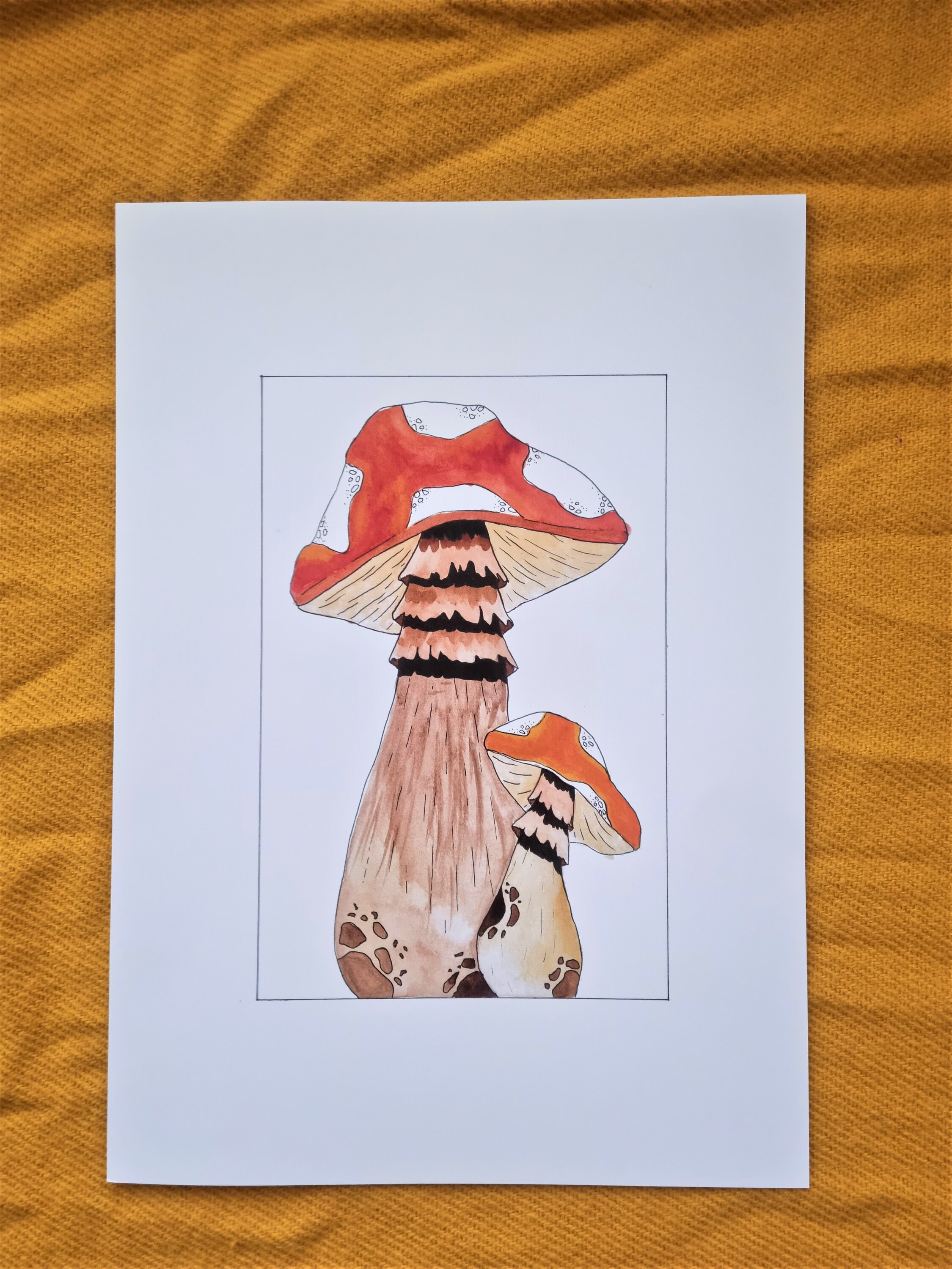 A4 Mushroom Prints - Etsy