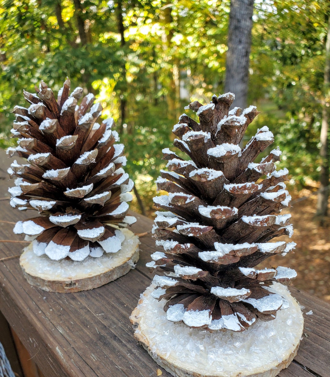 Pine Cone Christmas Trees - Etsy