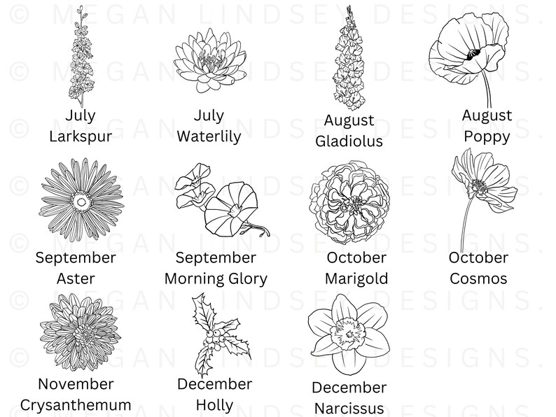 Birth Month Flower SVG Bundle, Wildflower Clipart (digital Download) - Etsy