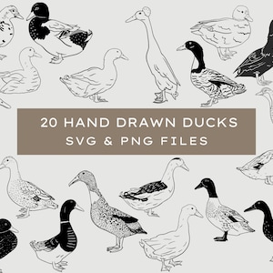 Duck SVG | Farmhouse Svg | Hand Drawn Duck | Duck Breeds | Duck Clipart ...