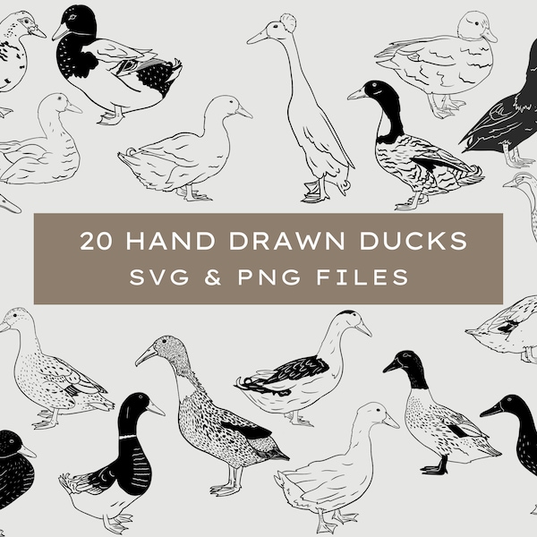 Duck Svg - Etsy