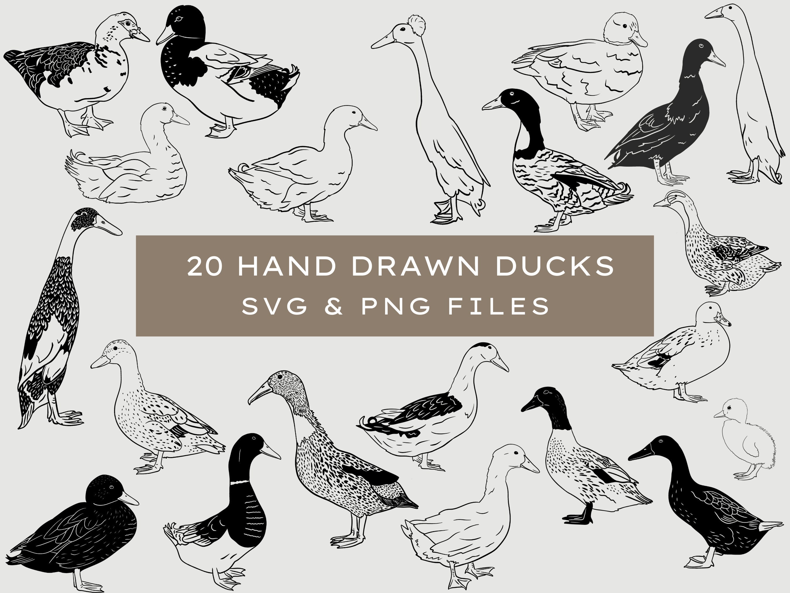 Duck SVG | Farmhouse Svg | Hand Drawn Duck | Duck Breeds | Duck Clipart ...