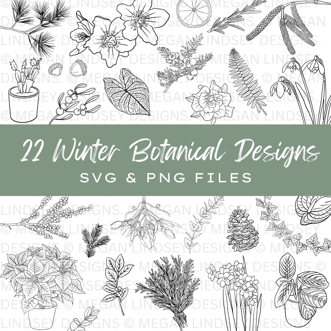Botanical SVG Bundle | Winter Flower Svg | Flower Svg | Hand Drawn ...
