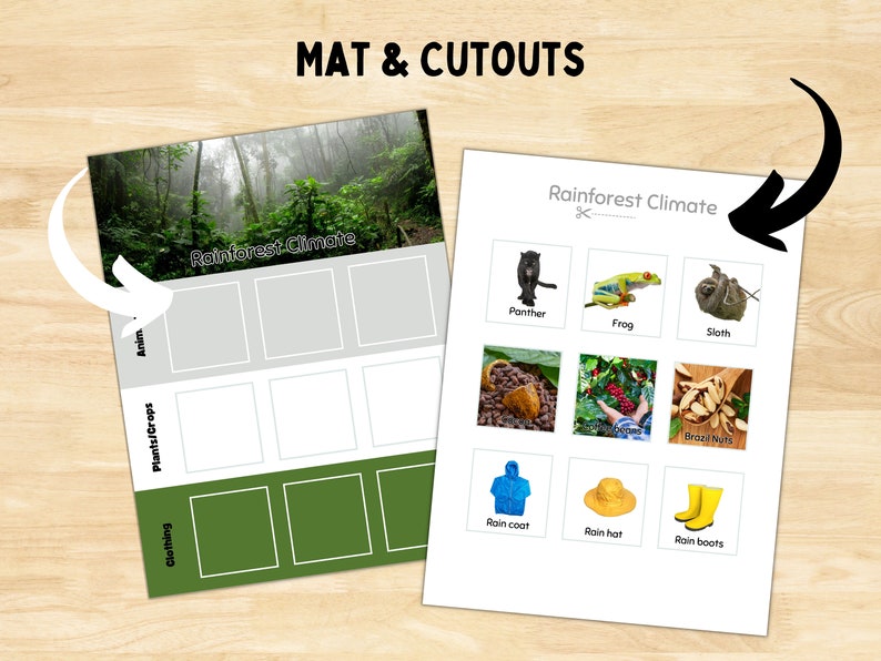 Climates and Culture Activity Climate Mat for Kids Montessori Animal ...