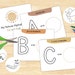 Uppercase Alphabet Activity Cut and Paste Worksheets Easy Printable ...