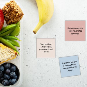 Lunch Box Facts for Kids | Lunch Notes | Printable Facts for Kids ...