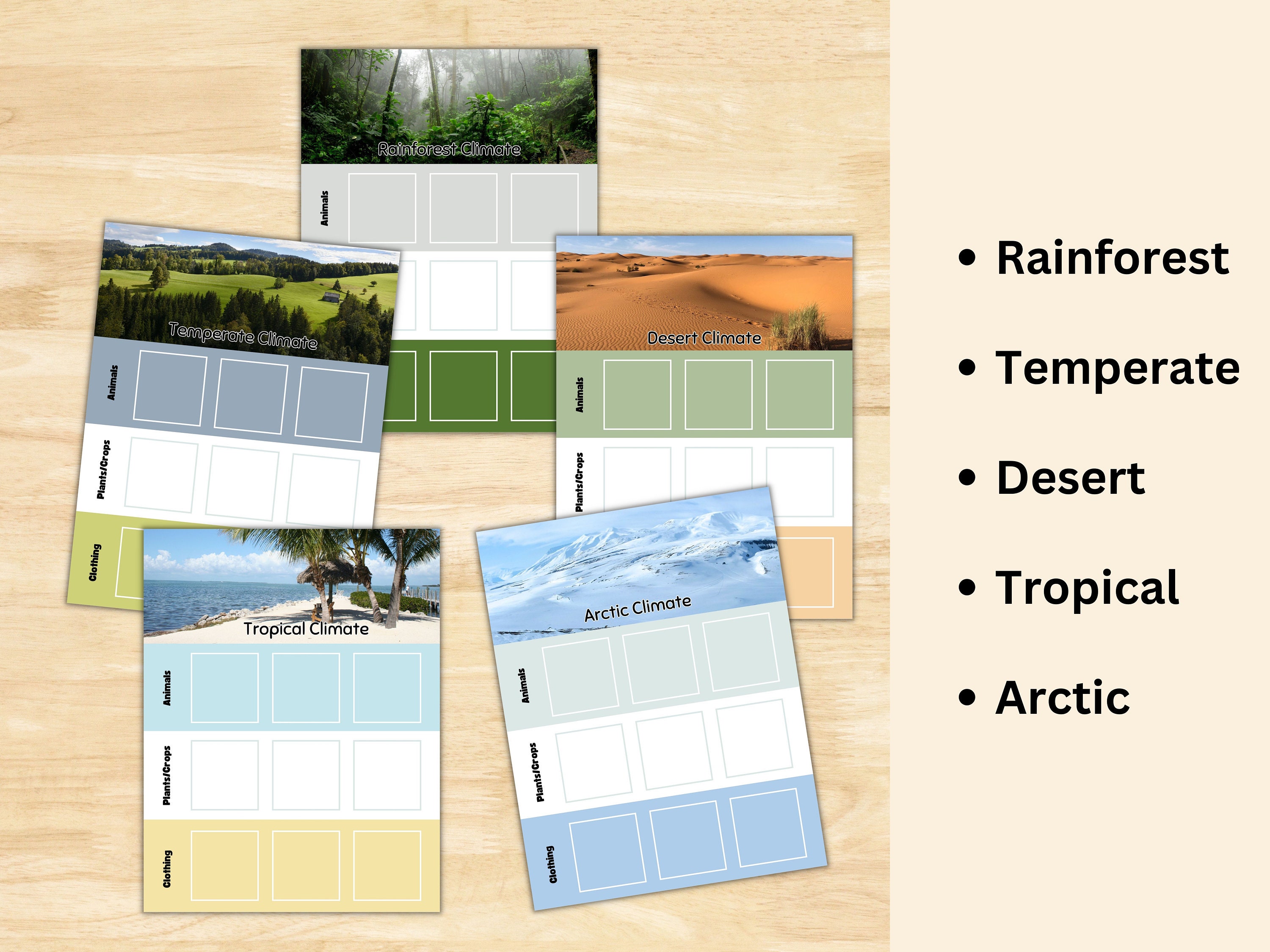 Climates and Culture Activity Climate Mat for Kids Montessori Animal ...