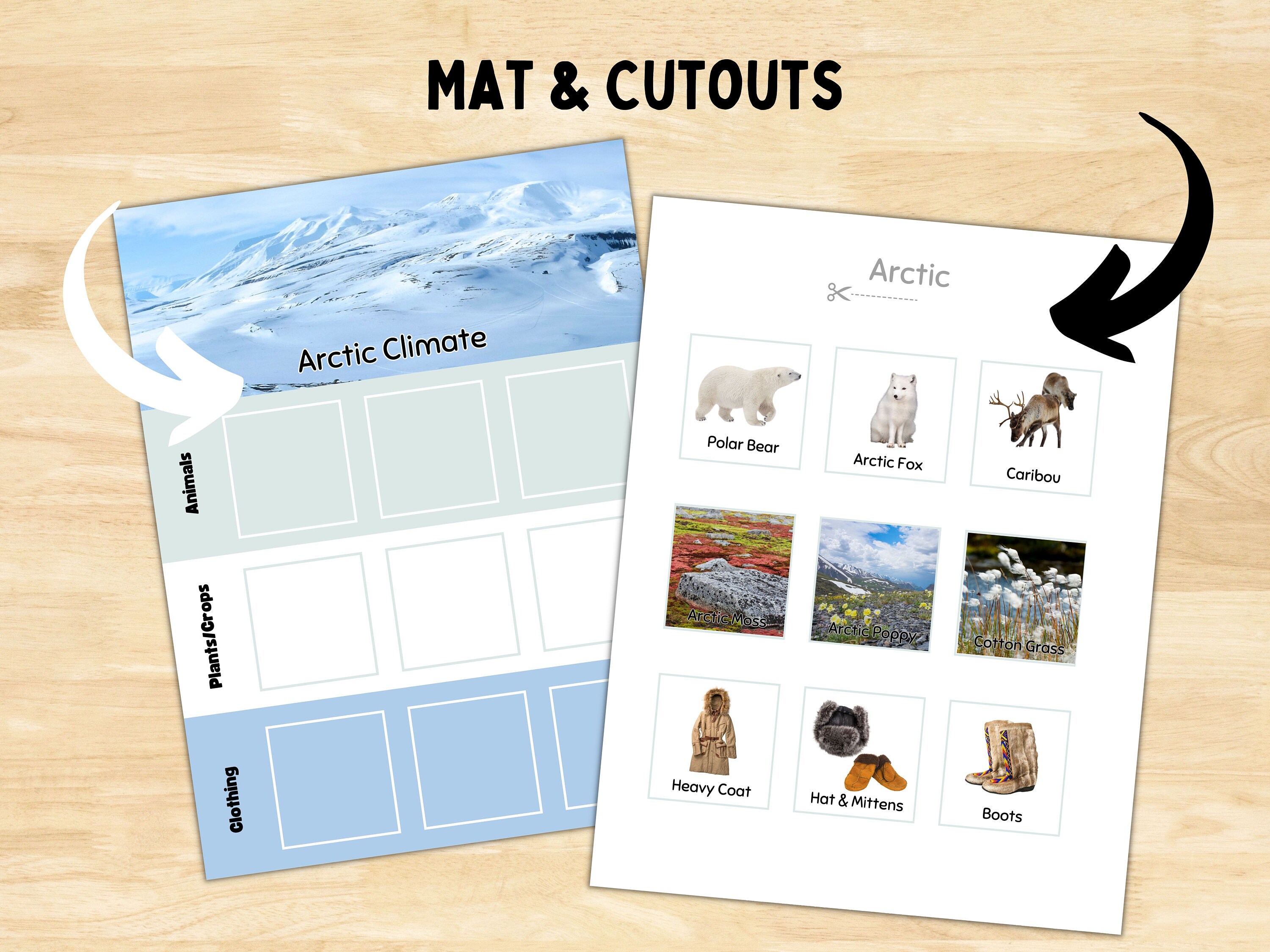 Climates and Culture Activity Climate Mat for Kids Montessori Animal ...