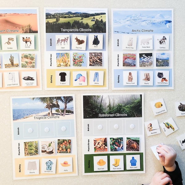 Montessori Animal Habitat - Etsy