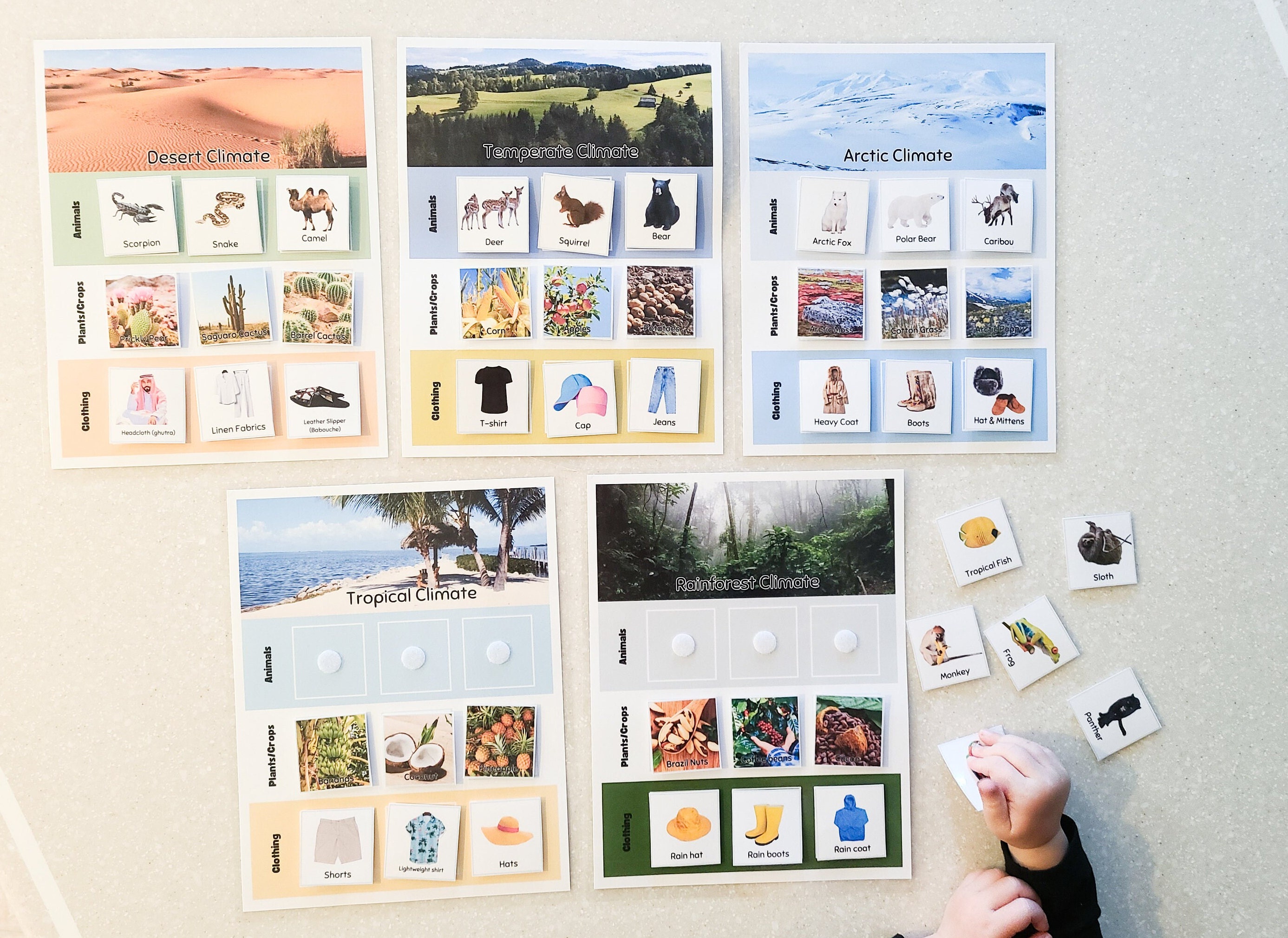 Climate & Culture Sorting Activity | Montessori Animal Habitat Mat ...