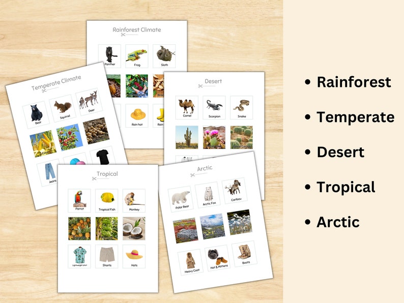 Climate & Culture Sorting Activity | Montessori Animal Habitat Mat ...
