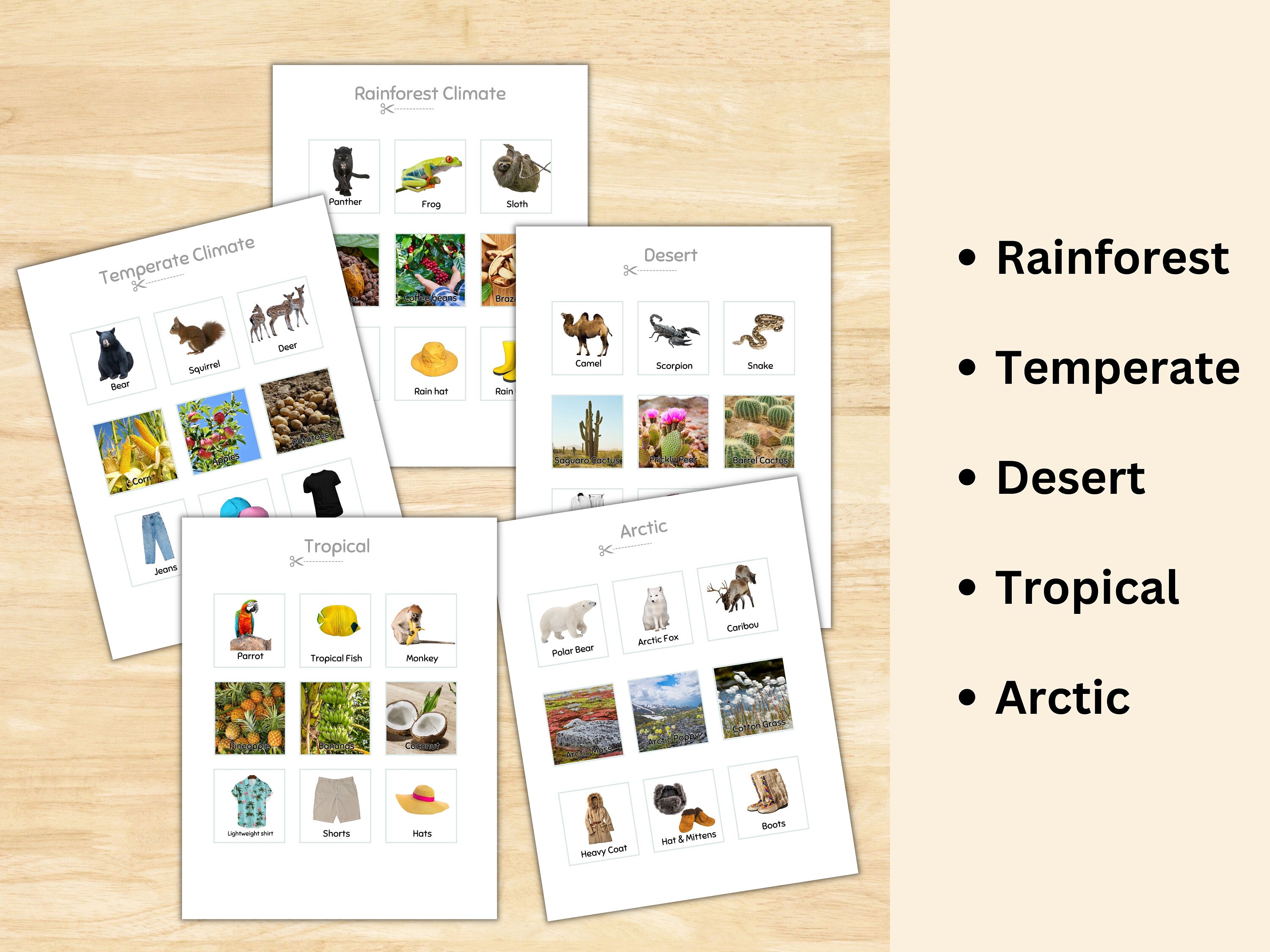 Climates and Culture Activity Climate Mat for Kids Montessori Animal ...