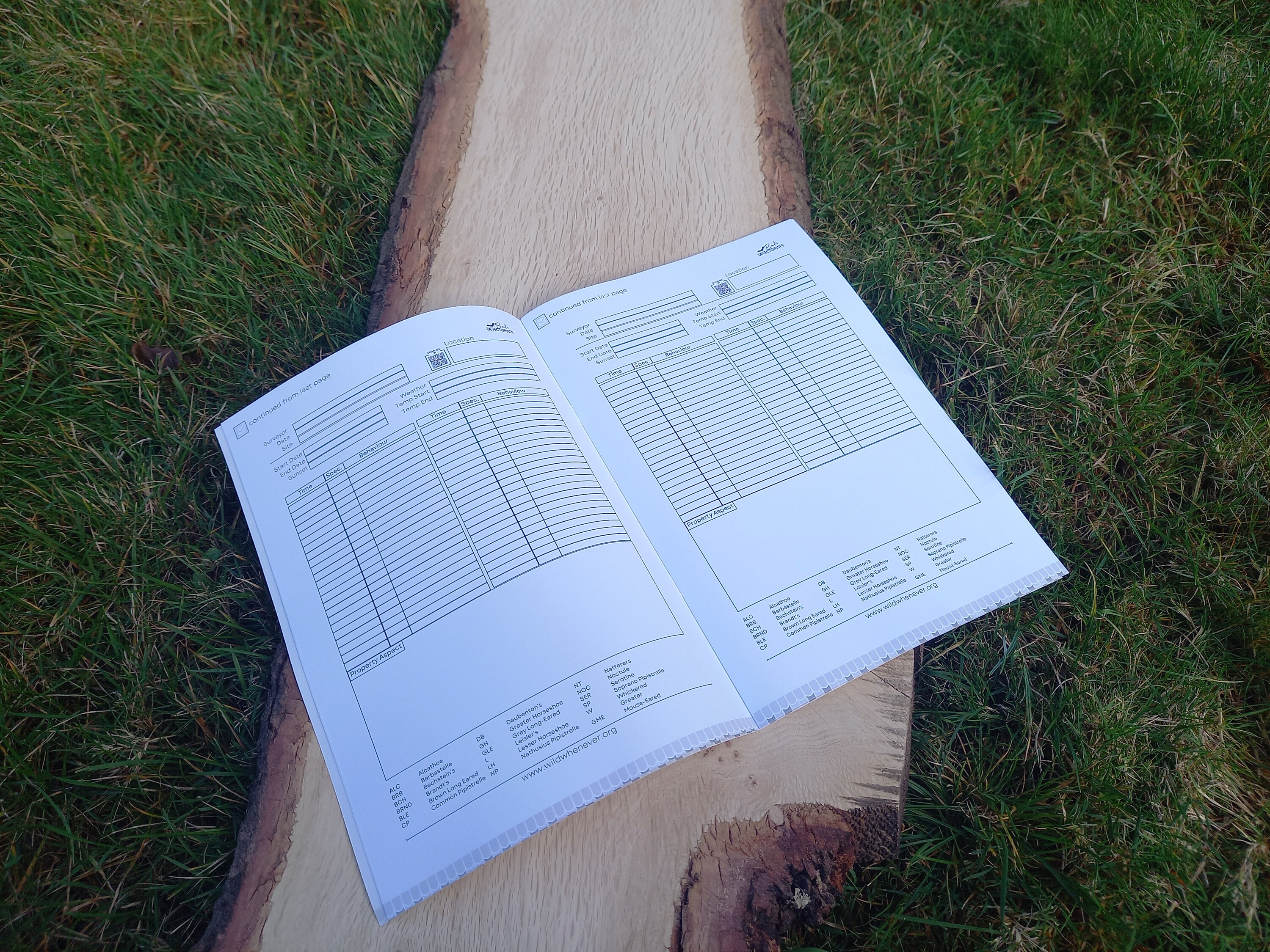 Bat Survey Booklet - Etsy UK