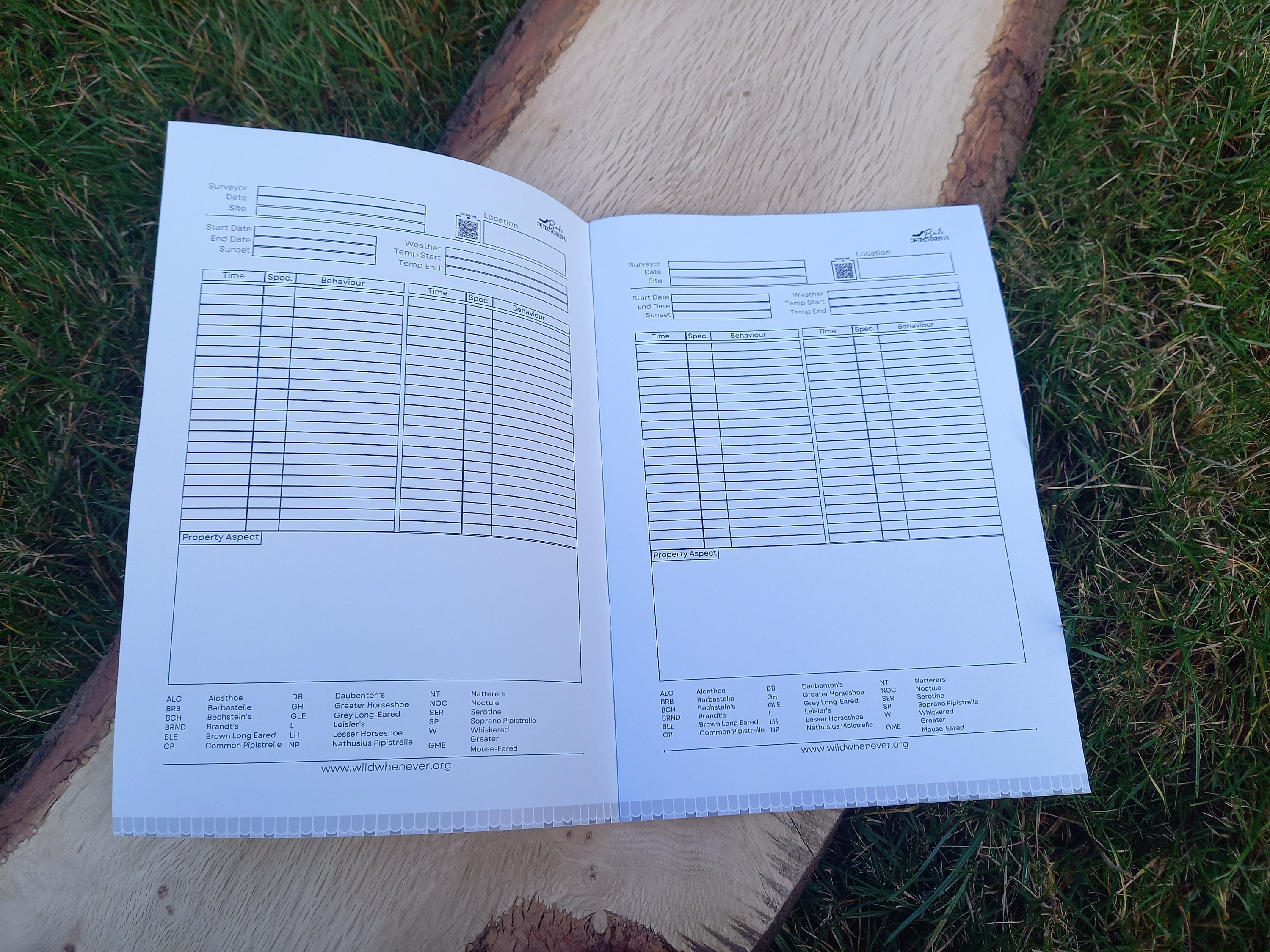 Bat Survey Booklet - Etsy UK