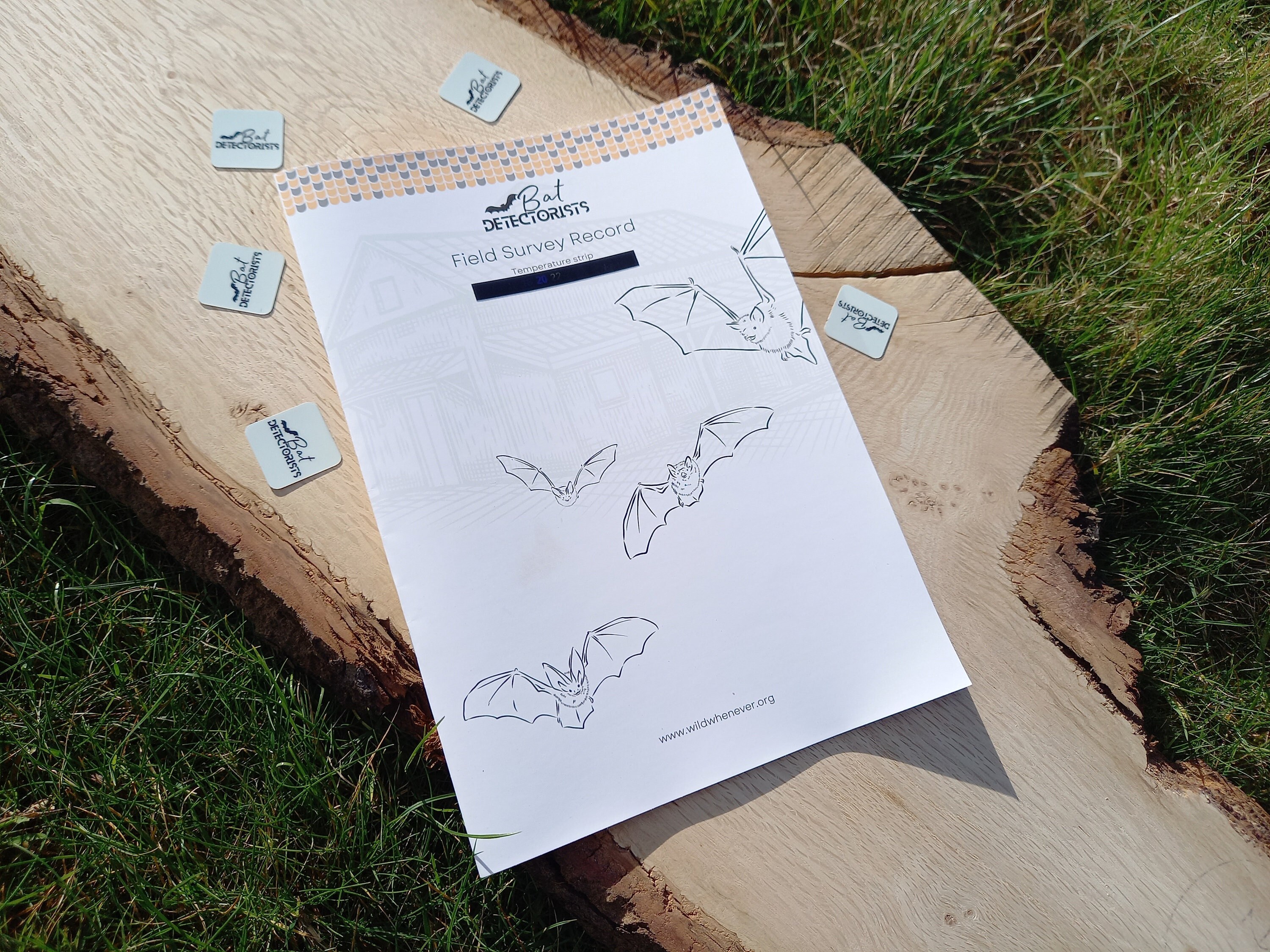 Bat Survey Booklet - Etsy UK