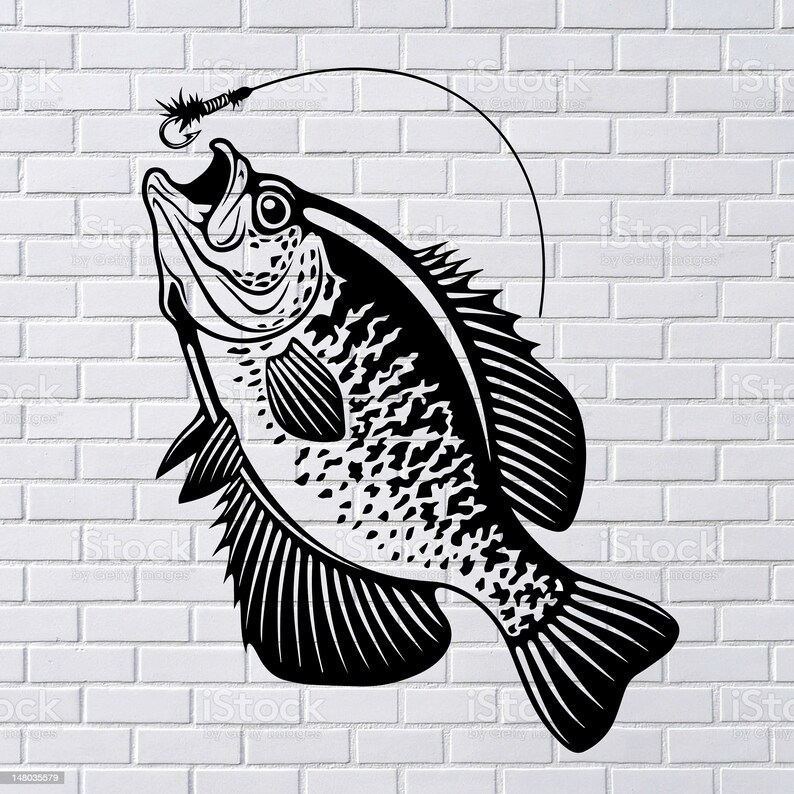 Crappie Fishing PDF SVG , Fishing Svg, Crappie Fish Svg, Crappie ...