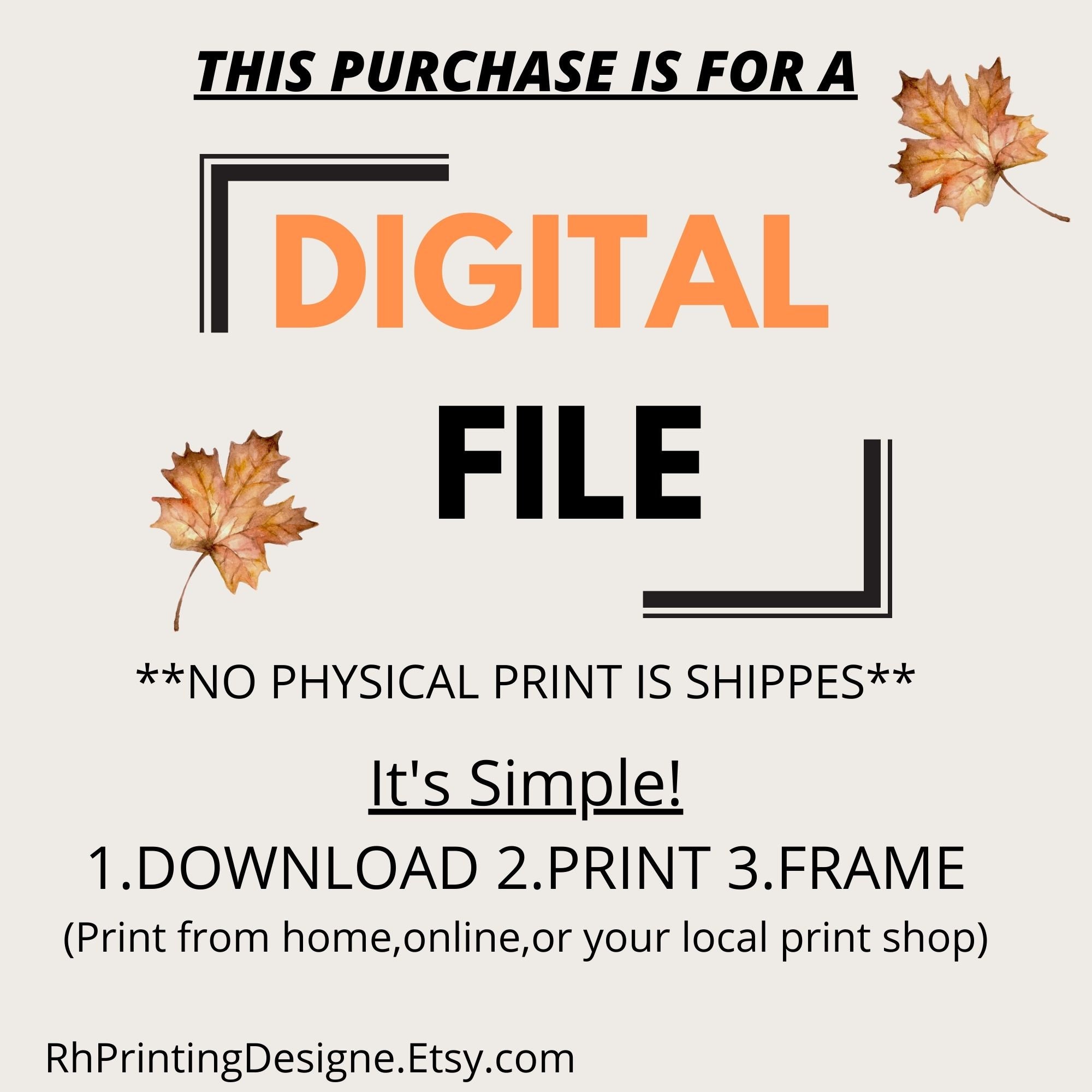 Giraffe PDF & PNG Cut File, Safari Animal Pdf, Africa Wild Life, Funny ...