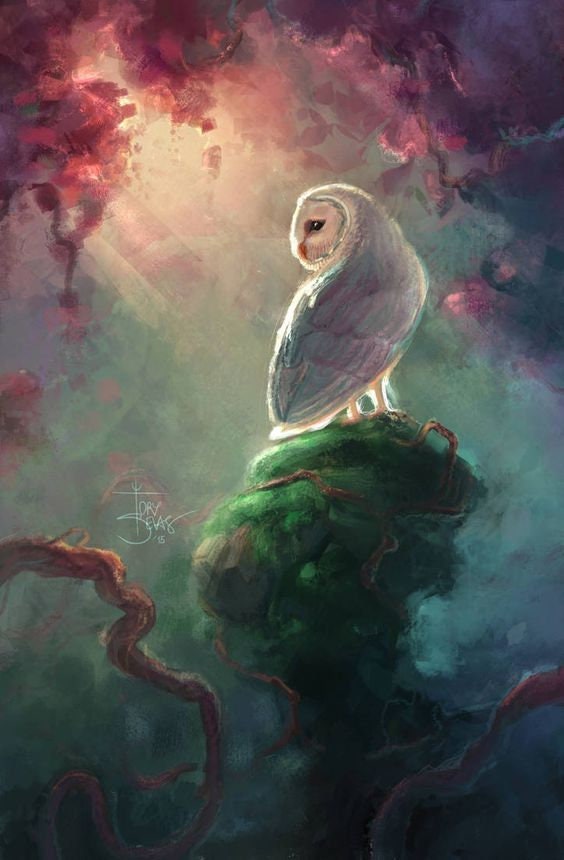 Stolas Initiation, Stolas Attunement, Stolas Invocation, Youth ...