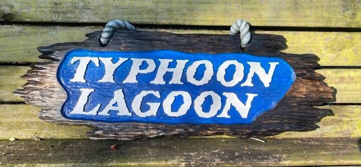 Typhoon Lagoon Water Park Inspired Hand Carved Wooden Sign - Etsy