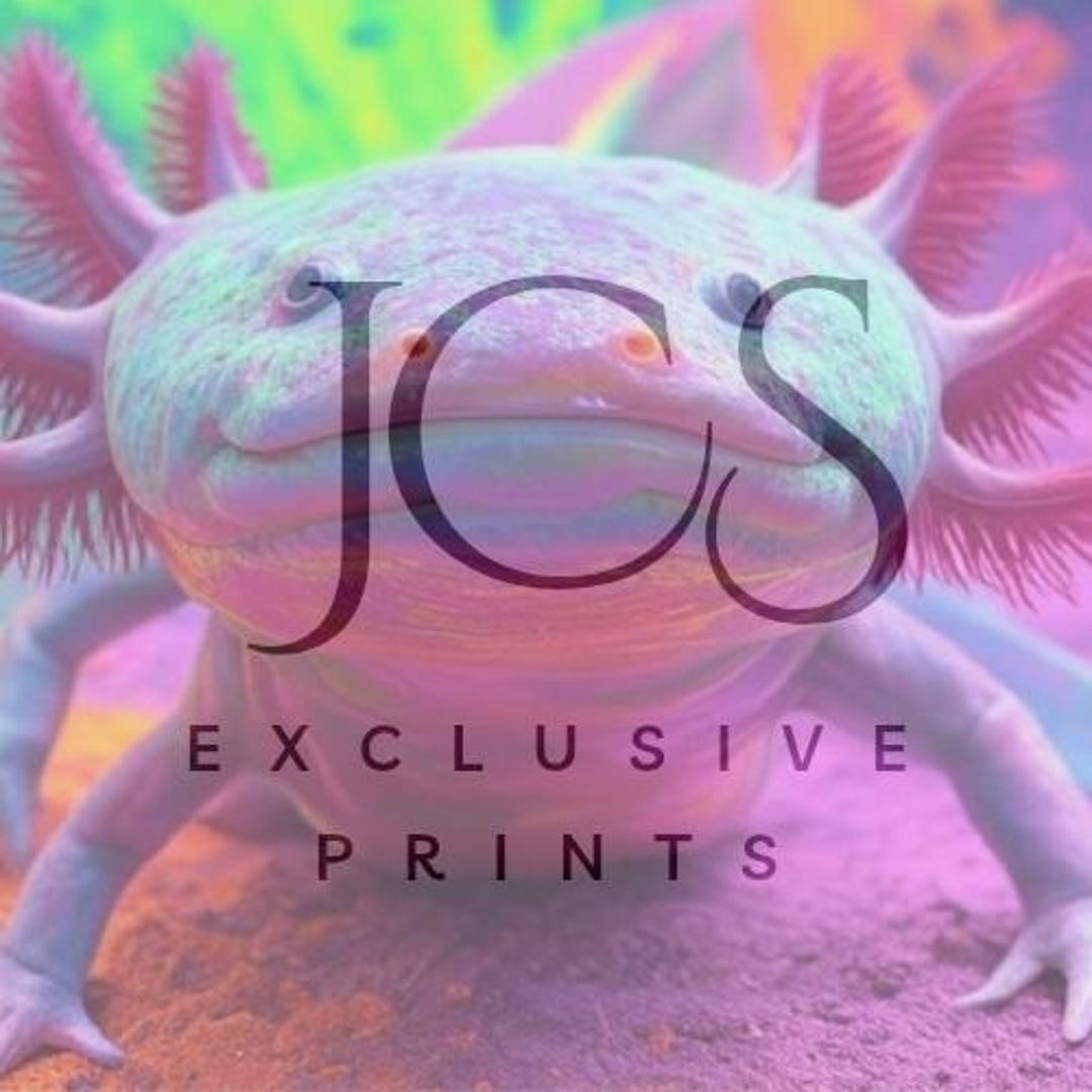 Axolotl Pop - Etsy