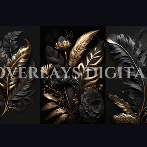 Black and Gold Floral Feather Wall Digital Backdrops, Fine Art Textures ...
