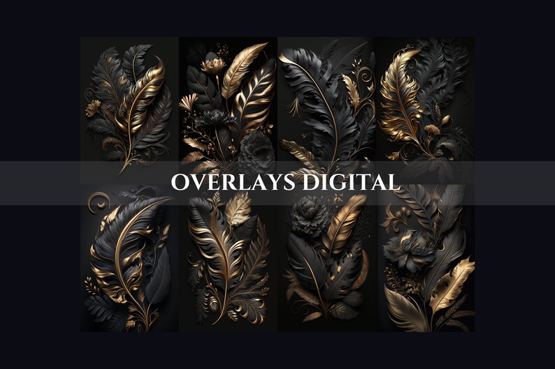 Black and Gold Floral Feather Wall Digital Backdrops, Fine Art Textures ...