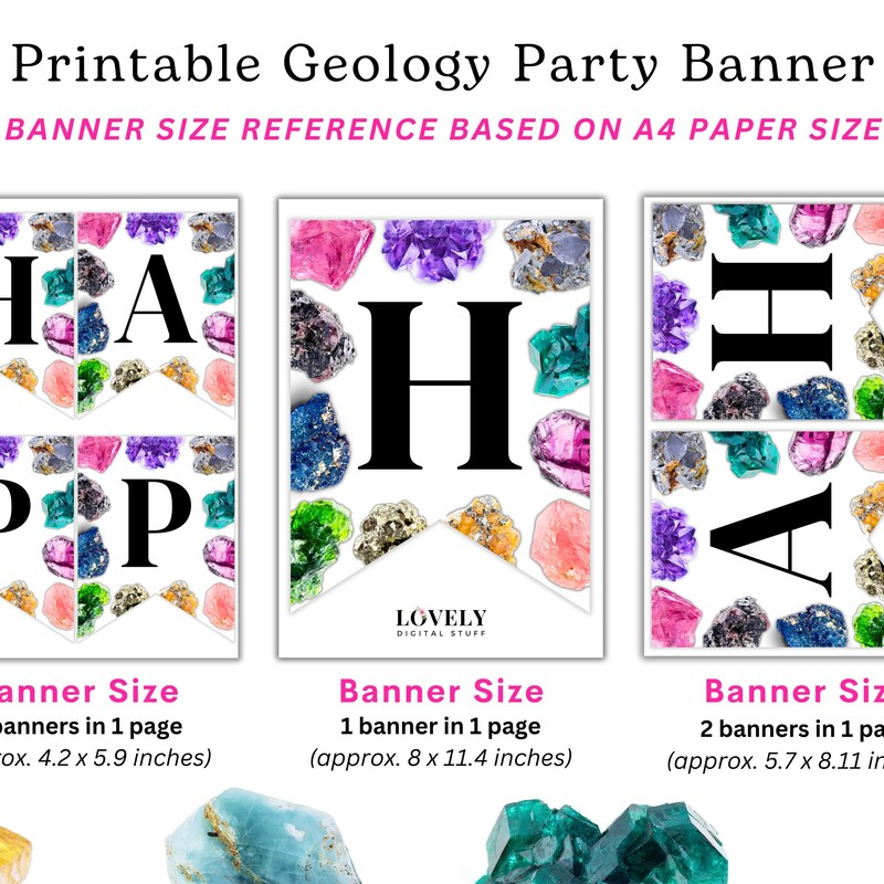 Geologist Birthday Party - Etsy