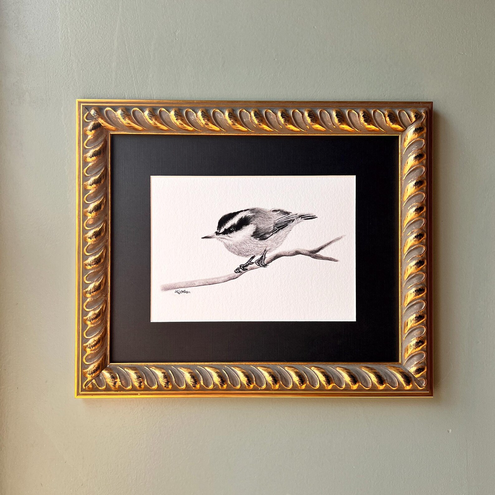 Nuthatch Bird, Original Drawing Print on Textured Fine Art Paper. 5x7 ...