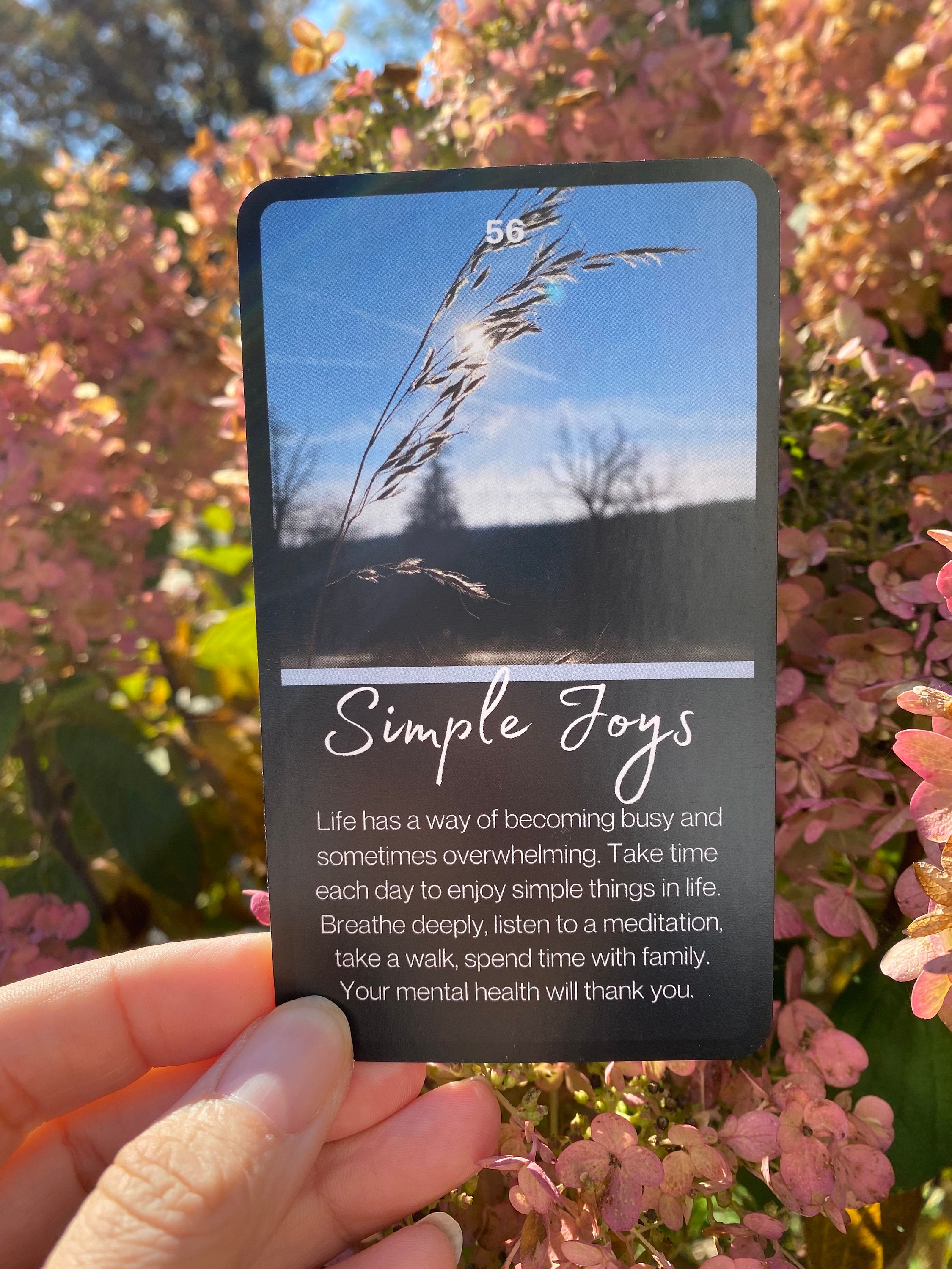 Essence of Nature Oracle Cards, a 57-card Oracle Photographic Deck ...